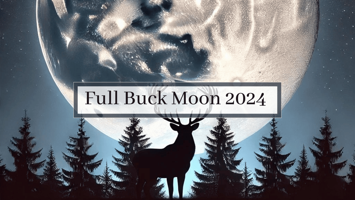 Full Buck Moon 2024: Guide to Viewing and Photography Tips ...